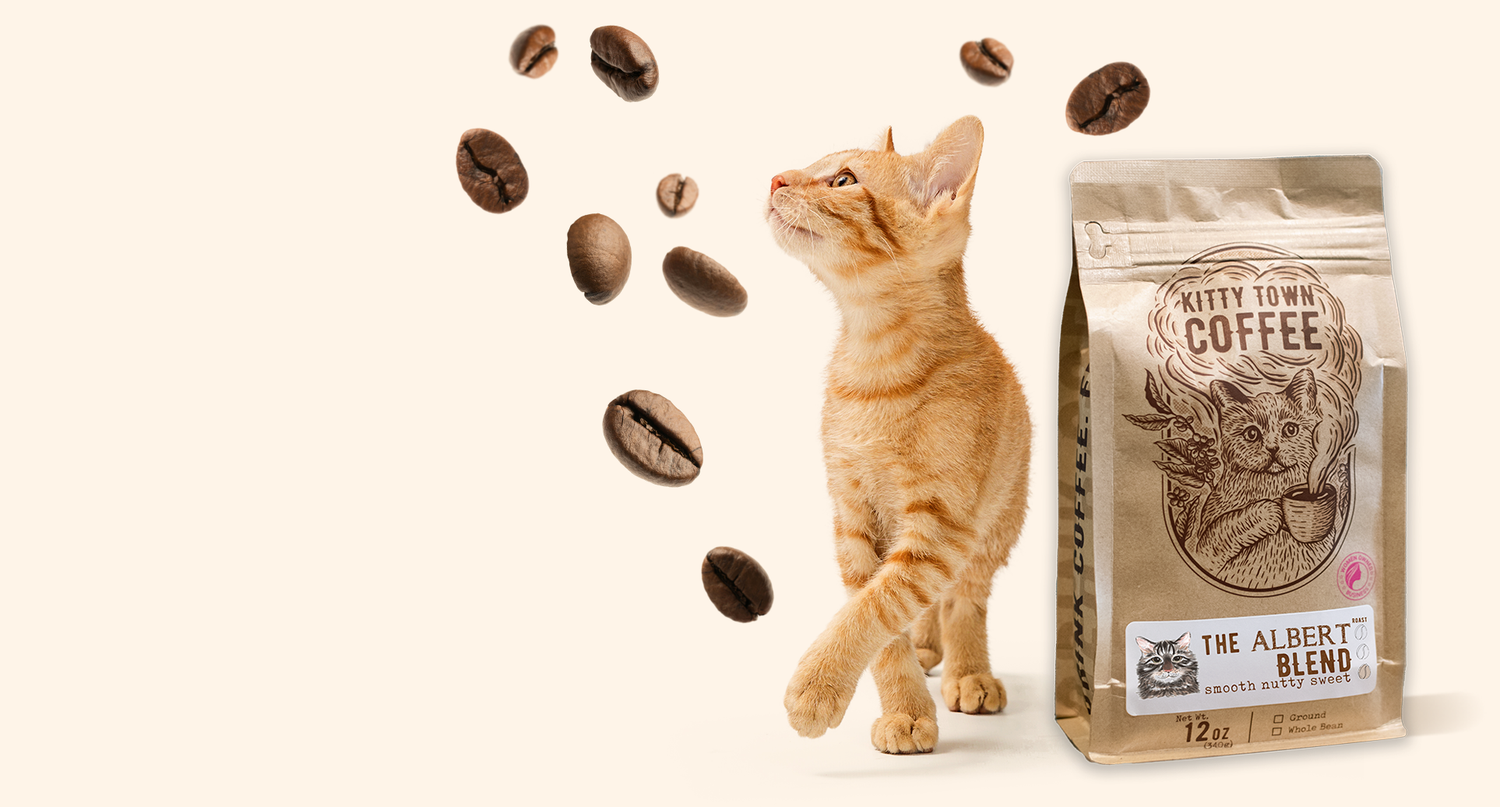 Kitty Town Coffee
